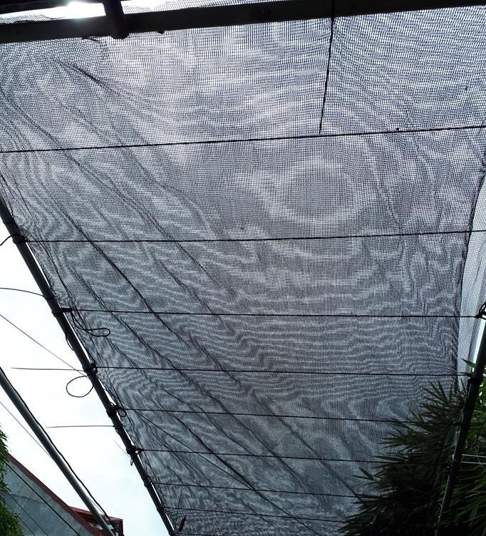 UV PLASTIC ROOFING 150 MICRONS (8 MIL) 3 METERS WIDE, 5 METERS LONG ...