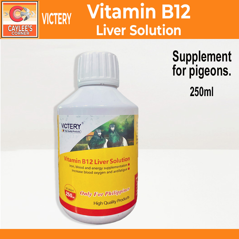 Victery B12 Liver Solution | Lazada PH
