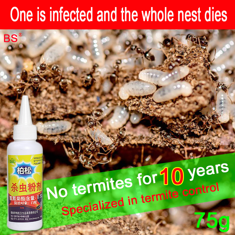 One infected whole nest died termite killer powder (ANAY)75g bait ...