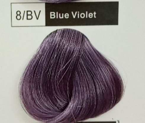 ASHLEY HAIR COLOR 100ML | Lazada PH