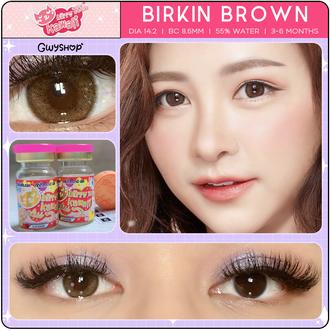 Birkin Brown Kitty Kawaii Lens | Gwyshop | Lazada PH