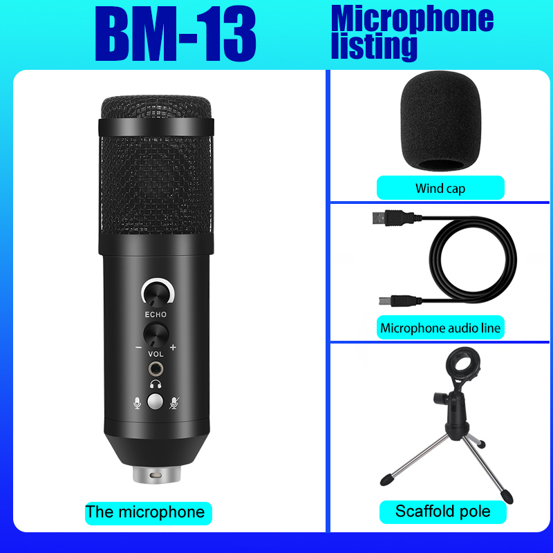 RAYHAYES Condenser microphone for pc computer recording dubbing live ...