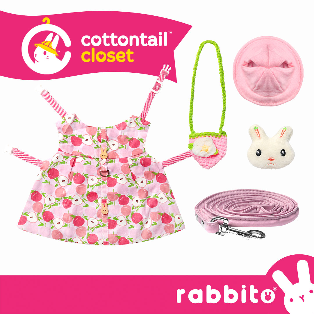 Cottontail Closet DAINTY DRESS SET Cute Costume Clothes for Rabbits ...