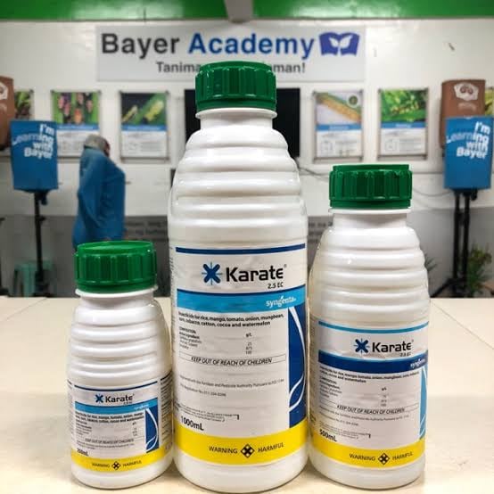 Karate Insecticide 500mL | Lazada PH