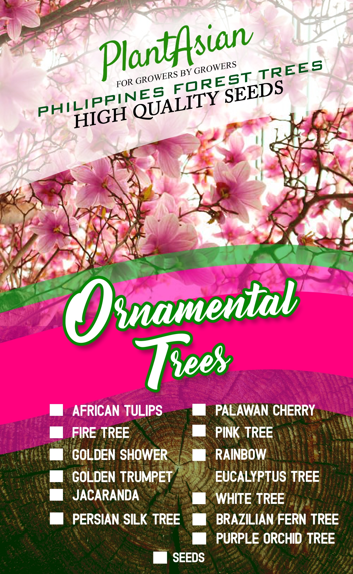 CATMON TREE SEEDS 6 PCS | Lazada PH