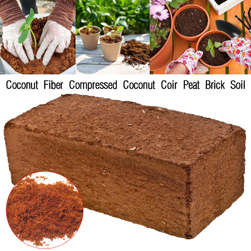 Imported Natural Coco Peat Block Brick - Basic Farm House | Lazada PH