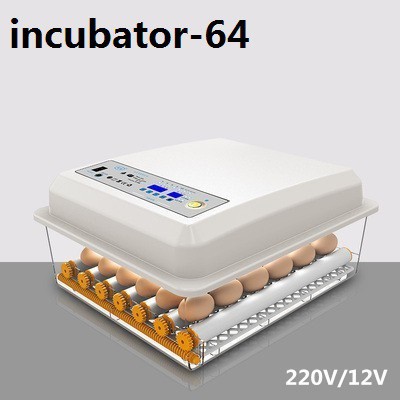 【STAR】Egg incubator fully automatic/Incubator for egg chicken/Incubator parts complete set for ...