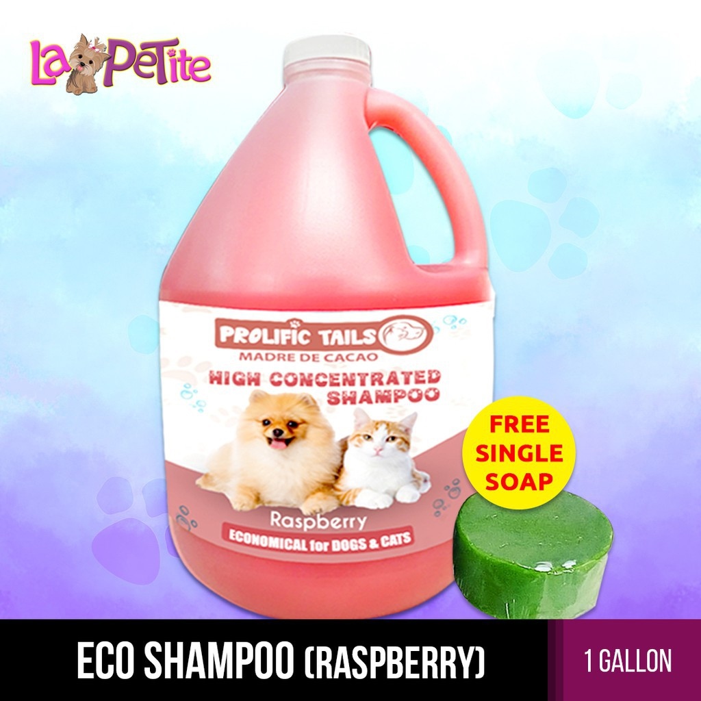 Prolific Tails Madre De Cacao Shampoo Raspberry Scent Gallon Anti Mange ...