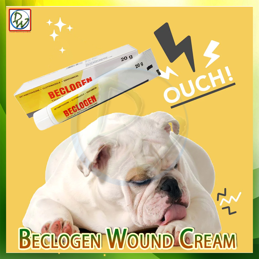 Beclogen Wound Cream Antibacterial Pet Triple Action Cream 20g | Lazada PH
