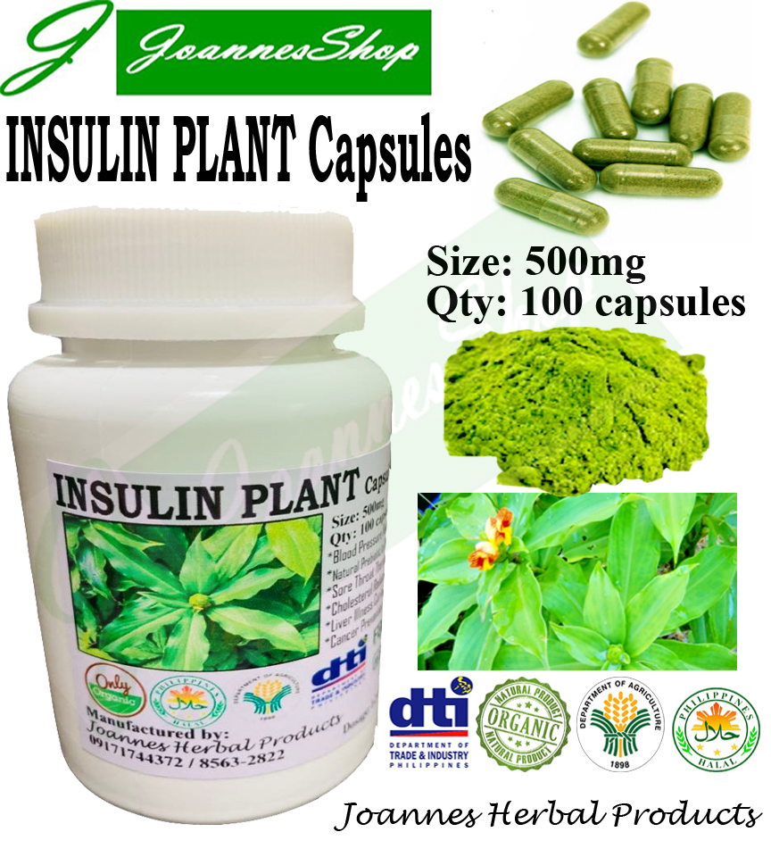 [100 CAPSULES] INSULIN PLANT CAPSULES 500MG | Lazada PH