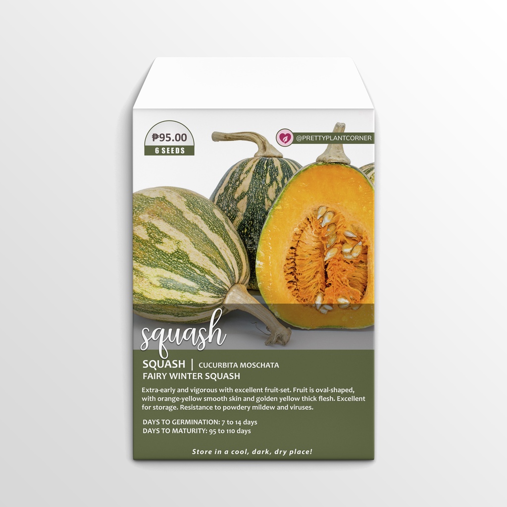 Fairy Winter Squash Seeds | Lazada PH