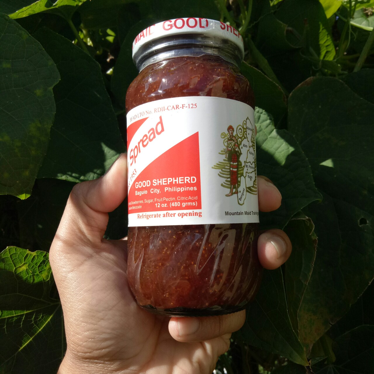 Baguio Pasalubong, Good Shepherd Products, Strawberry Spread 12 Oz ...