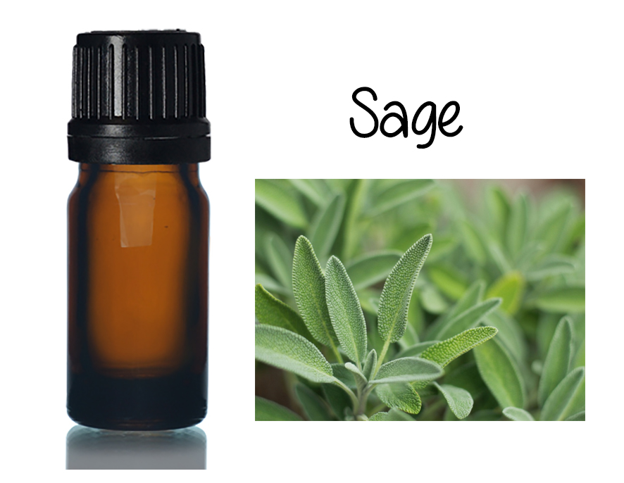 Pure Sage essential oil 5ml | Lazada PH