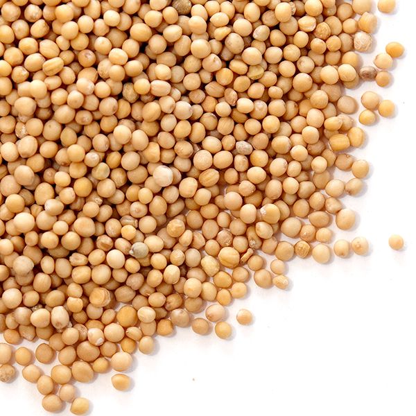 Imported Yellow Mustard 100 grams - Product of USA | Lazada PH