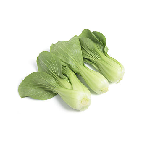 bokchoy bok choy pak choi pechay petchay cabbage seeds | Lazada PH