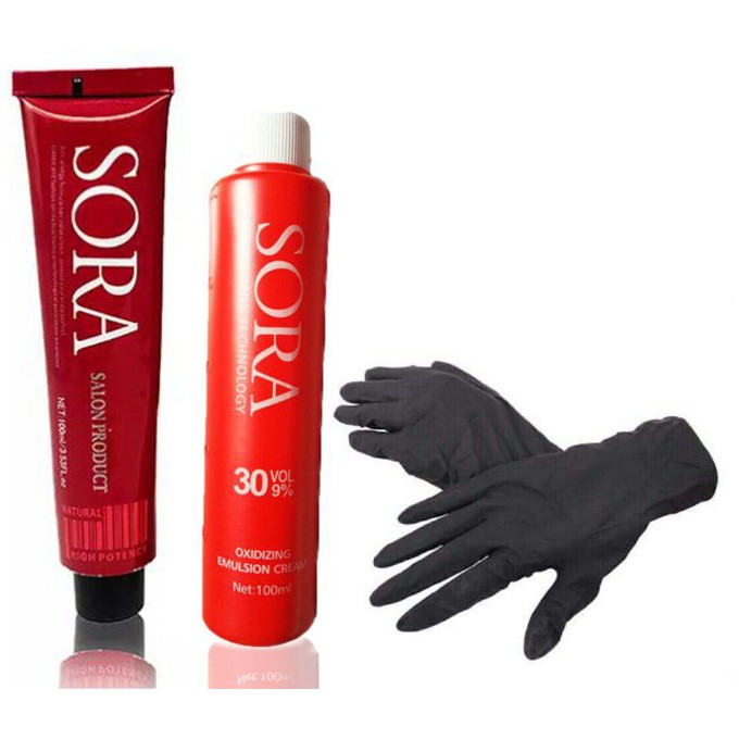 Ash 019 Hair Dye Color Sora Hair Color Dye | Lazada PH