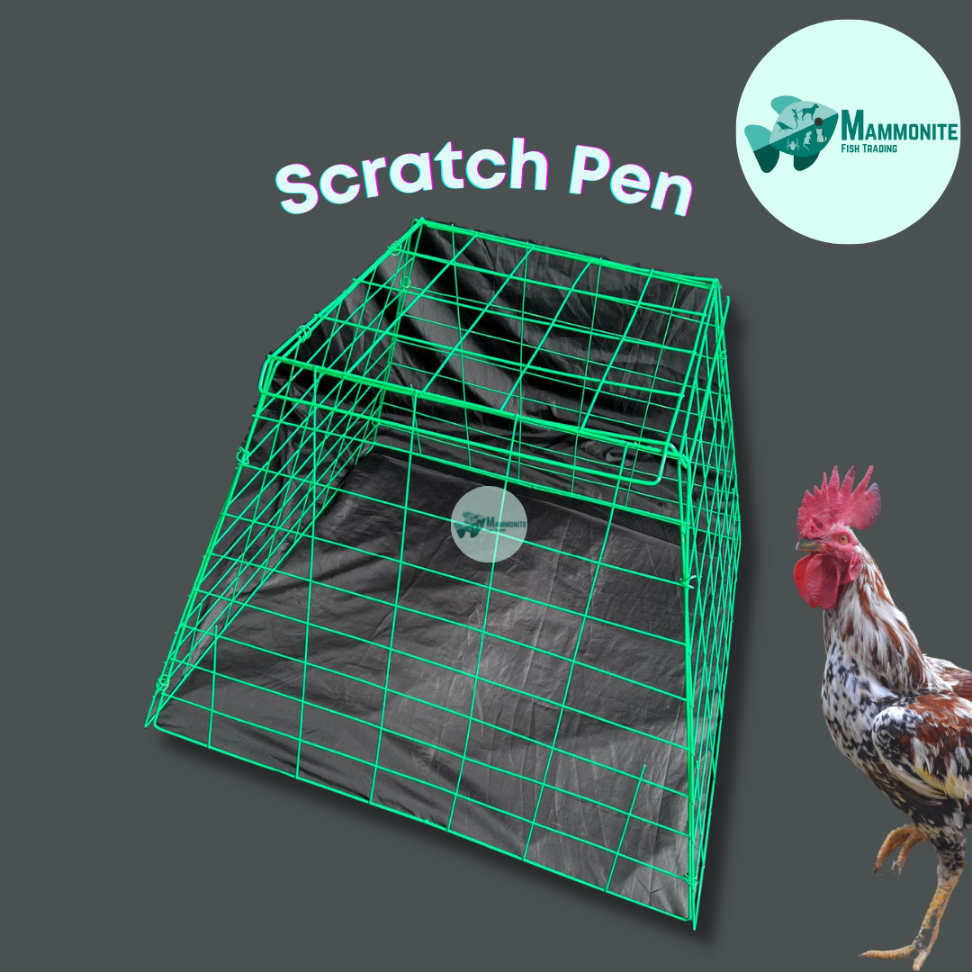 Pet Chicken Rooster Scratch Pen Cage Metal Colorful Enclosure 96cm ...
