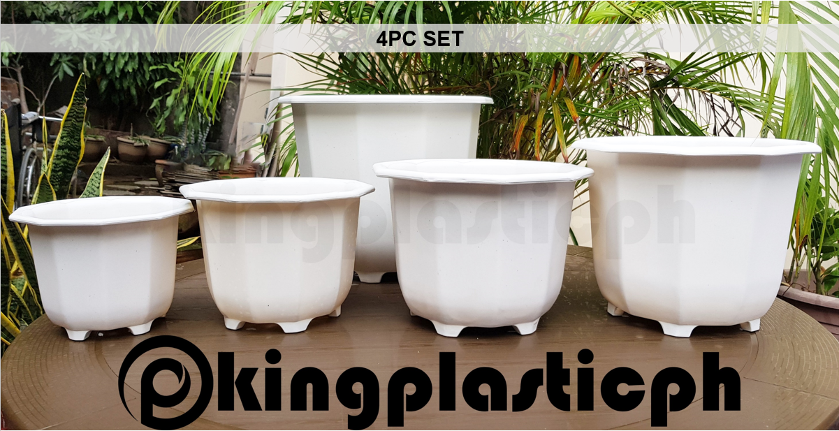3pc Set Off White Polygon Decagon Plastic Flower Pot Garden Pot | Lazada PH