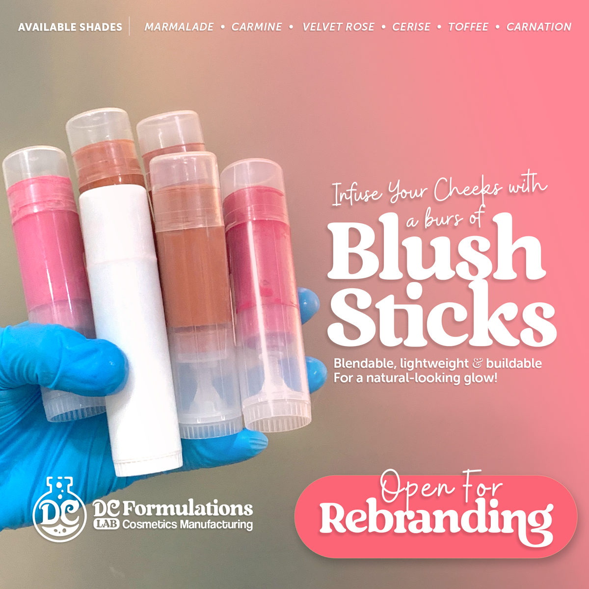 Blush Sticks (REBRANDING) - DC Formulations | Lazada PH