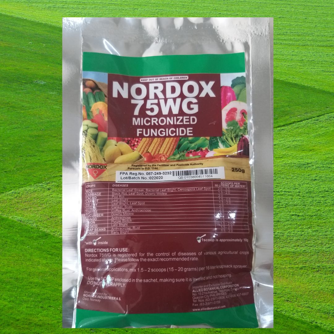 NORDOX 75WG Micronized Fungicide 250g | Lazada PH