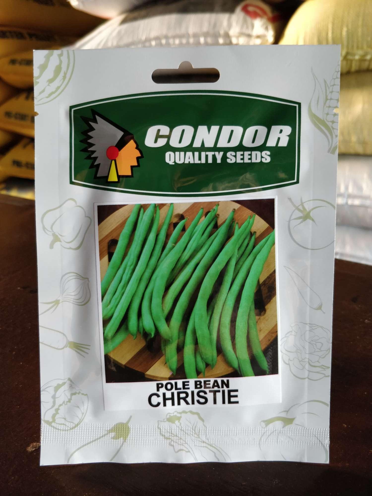 CONDOR SEEDS - POLE BEAN - CHRISTIE 10 GRAMS | Lazada PH