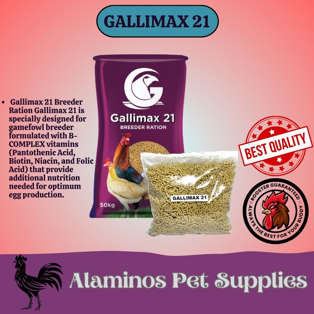 [APS] 1KG PILMOCO GALLIMAX 21/BREEDER RATION / FOR GAMEFOWL / PAKAEN SA ...
