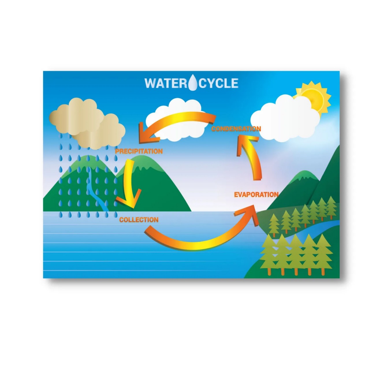 Laminated Water Cycle Chart, Educational Chart, Science Charts for Kids ...