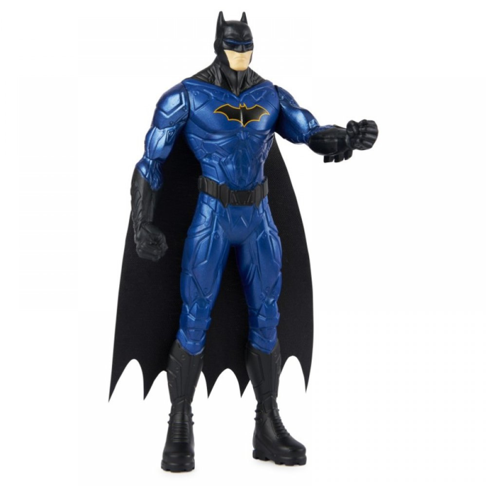 Spin Master DC Super Heroes 6-Inch Action Figure | Lazada PH