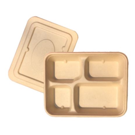 PH Based 3D/4D Sugarcane Pulp Bento Box Bagasse Food Container ...