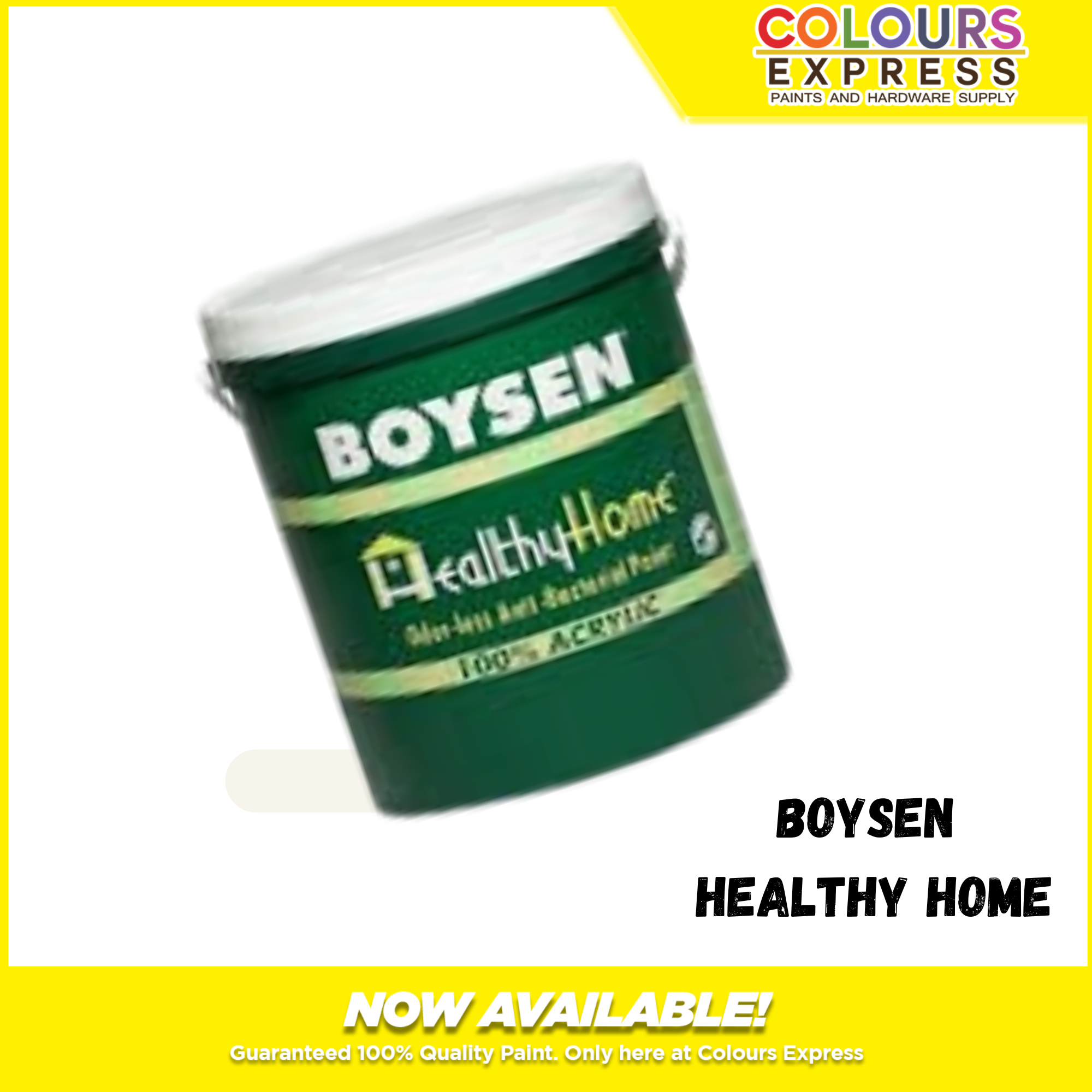 Boysen Healthy Home Odorless and Anti- Bacterial paints | Lazada PH