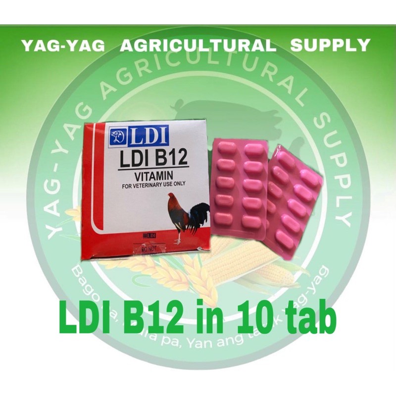 LDI B12 in 10 tablet | Lazada PH