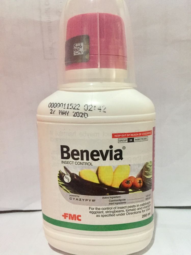 Benevia Insect Control 250ml | Lazada PH