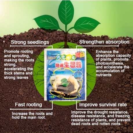 Rapid Rooting Powder | Lazada PH