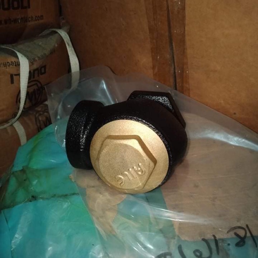 Aile Angle Check valve | Lazada PH