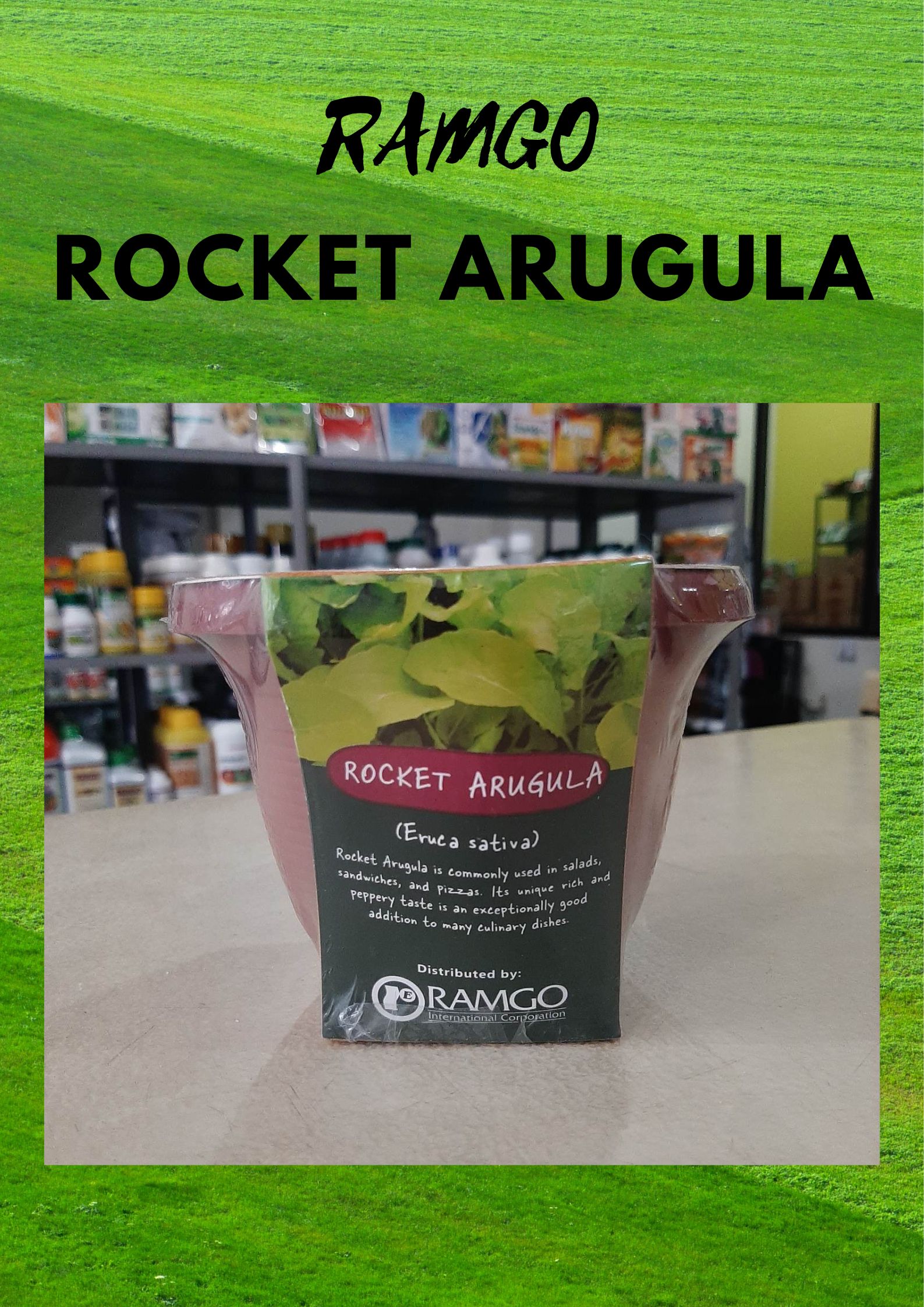 Ramgo Grow Kit - Rocket Aragula & Italian Parsley | Lazada PH