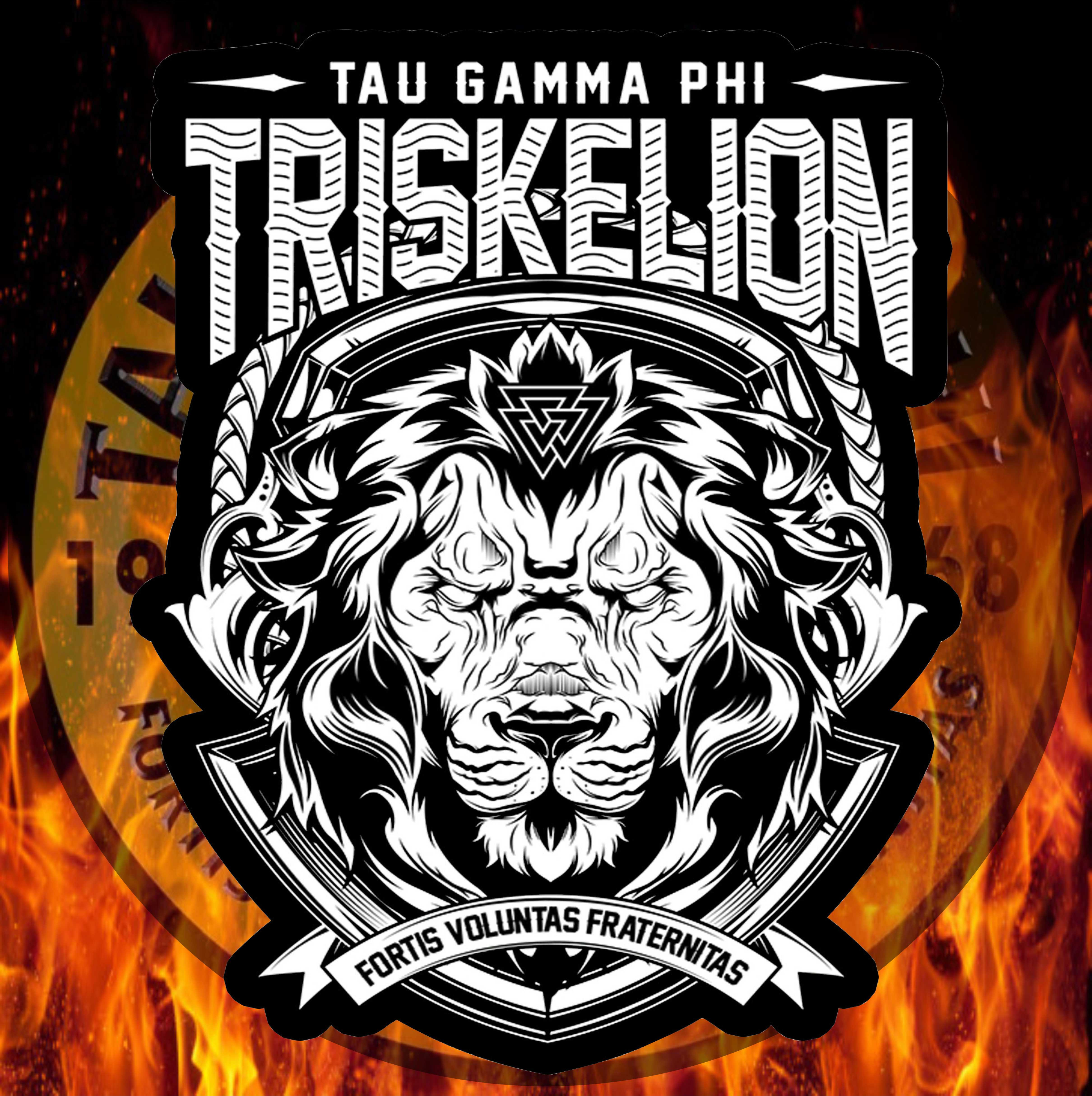 Tau Gamma Phi Quotes