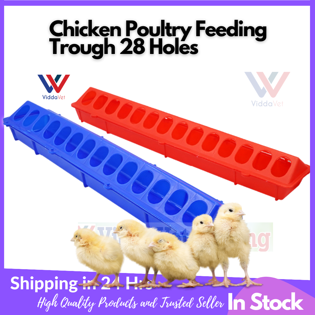 Flip Top Poultry Feeder Trough Chick Feeder Plastic Chicken Feeder 16 ...