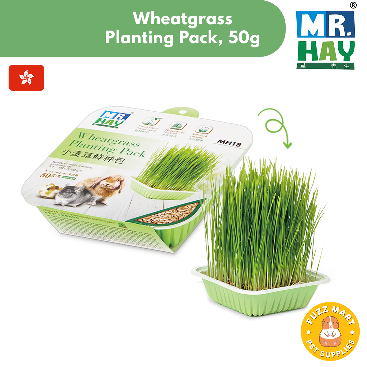 Mr. Hay Wheatgrass Planting Pack (50g) Complete DIY Planting Kit ...