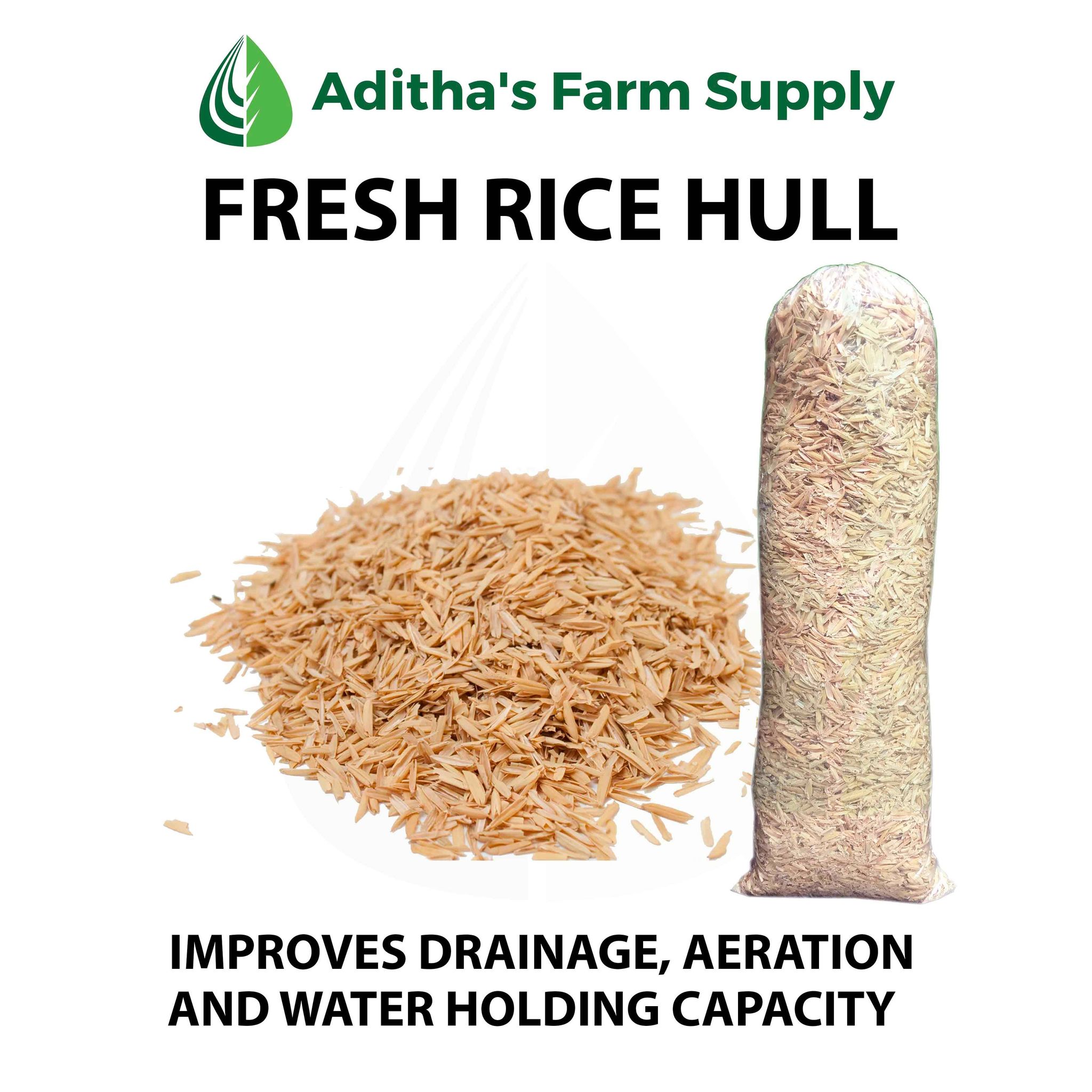 Fresh Rice Hull / Ipa (100 grams) Substrate | Lazada PH