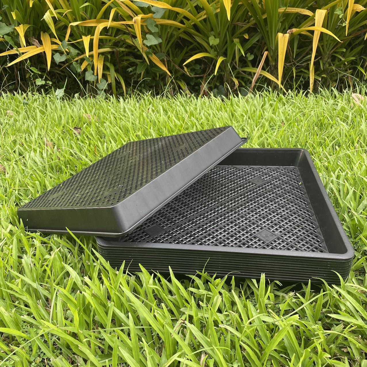 LHK ( 3PCS) Black Square Flat Bottom Flower Seedling Tray Sprout Tray ...