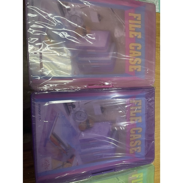 0PtPlastic File Case Long Size | Lazada PH