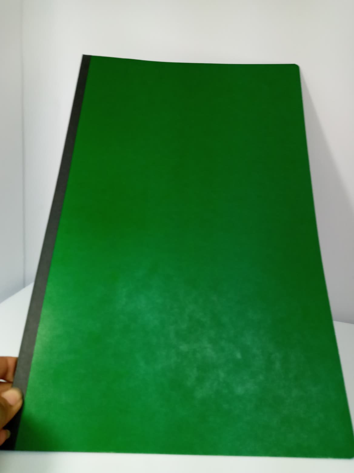 1 Pc Colored EXPANDED FOLDER LONG Thick | Lazada PH