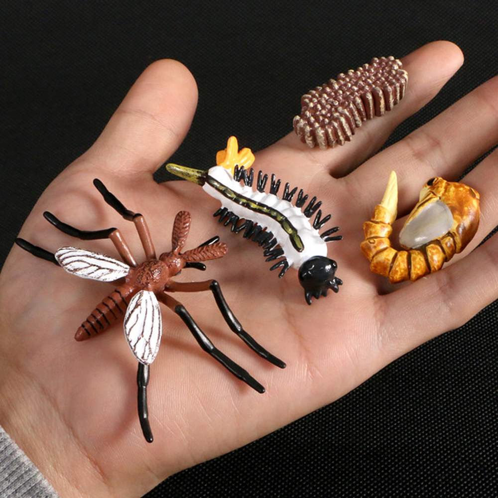 JOY TOY Kids Toy Biology Plastic Models Spider Insect Animals Chicken ...