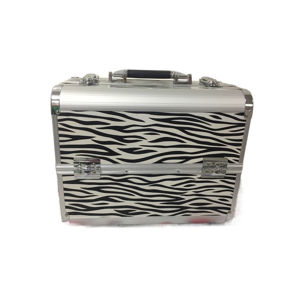lle Large Lockable Cosmetic izer Box Makeup Case | Lazada PH