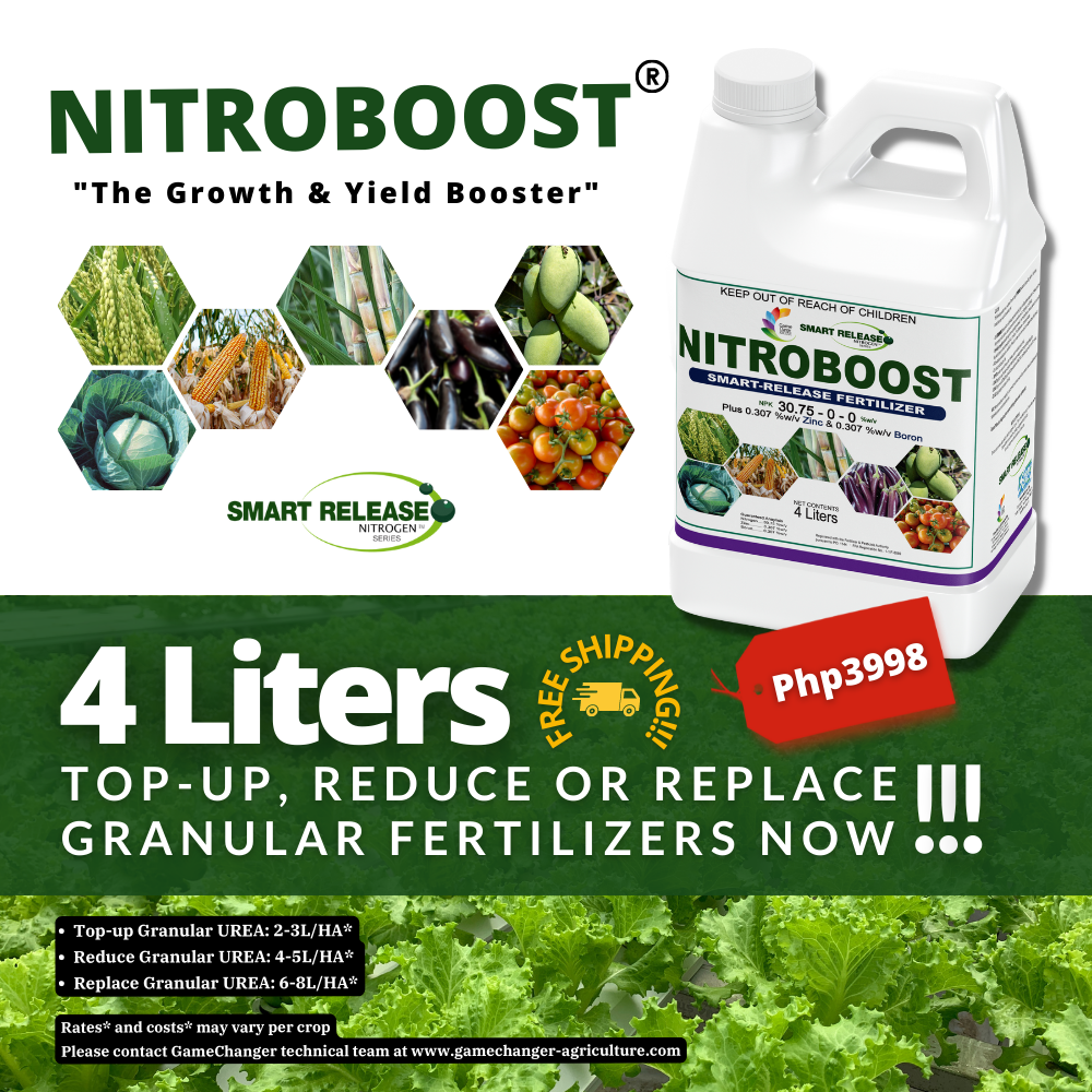 NITROBOOST 4L | Fertilizer | Lazada PH