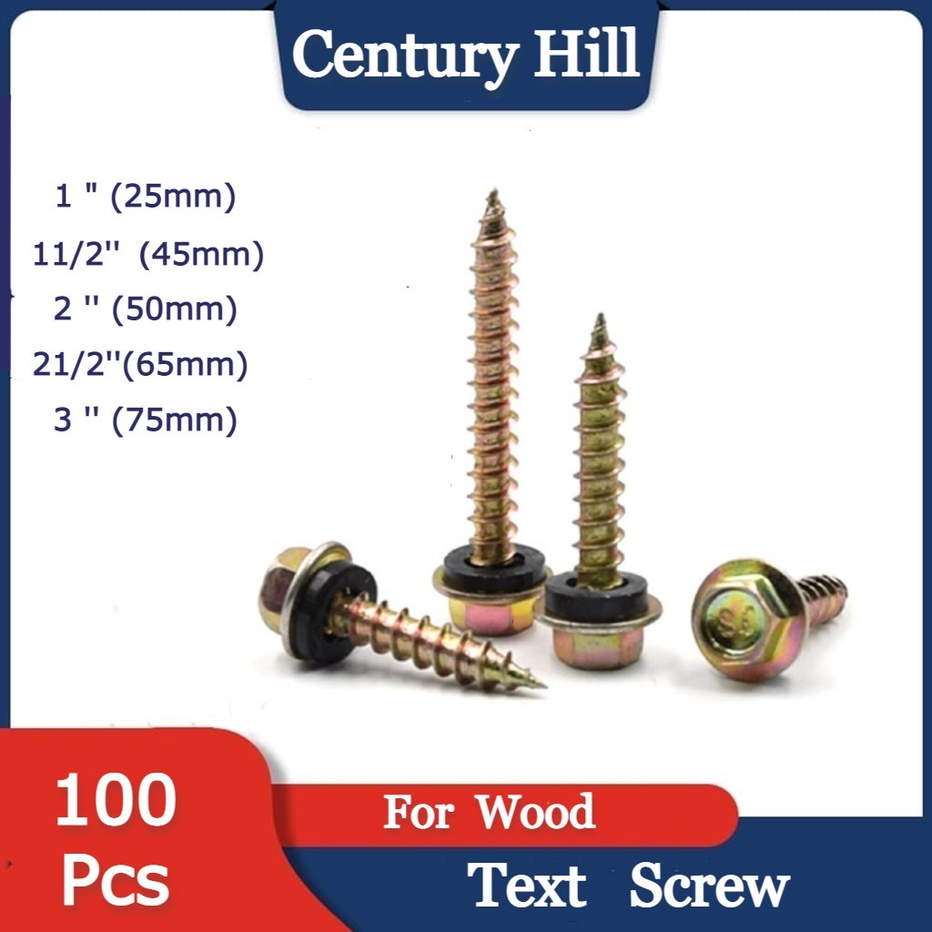 Text Screw For Metal and Wood (100pcs) | Lazada PH