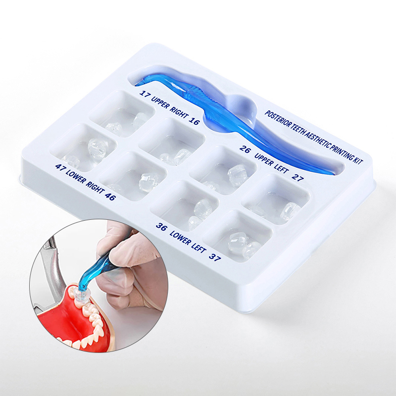 Dental Posterior Teeth Aesthetic Printing Mould Kit For Light Cure ...