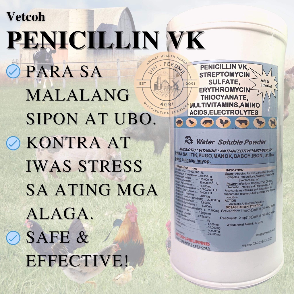 VETCOH STREPTOMYCIN PENICILLIN VK 1KG (Generic of Robistrep, Streptopen) | Lazada PH