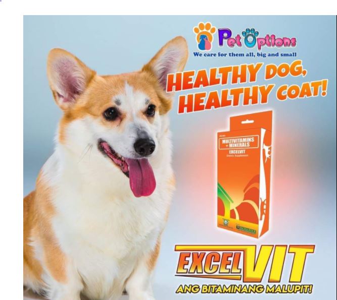 Pet Option Excel-Vit Multivitamins Tablet for dogs - 1 box (30 tabs ...