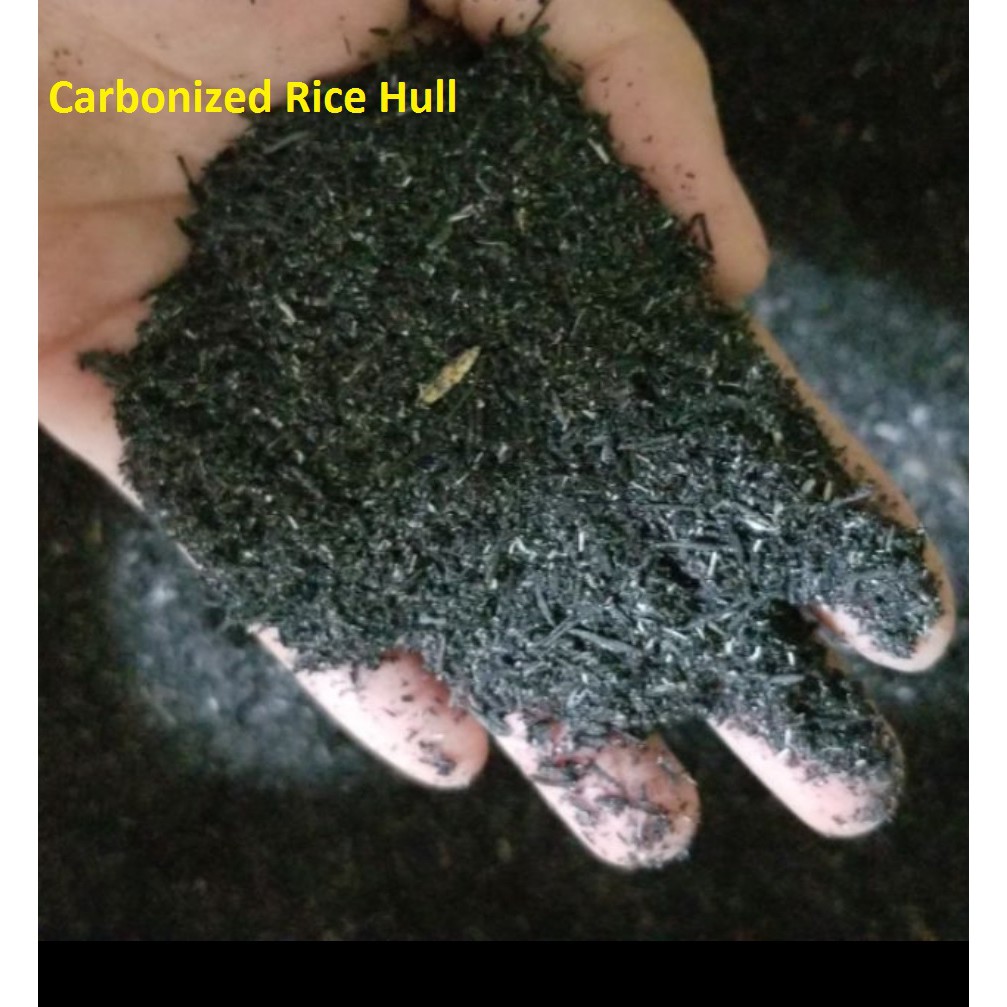 FINELY CARBONATED RICEHULL BEST FOR PLANTS SOIL MIXTURE 10 KILOS ...